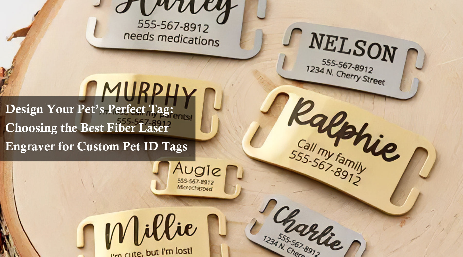 Best Fiber Laser Engraver for Creating Personalized Pet Tags – Monportlaser